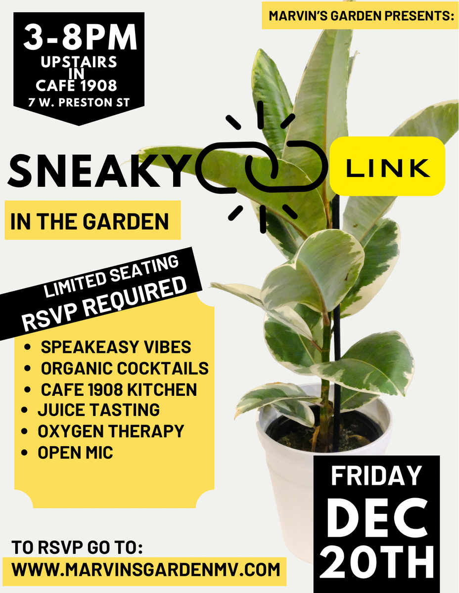 Sneaky Link RSVP – Quiet Wealthy shop